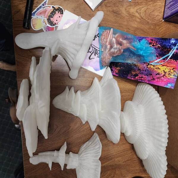 Glow in the Dark Floating Coral Shelf Large “montipora Capricornis ...