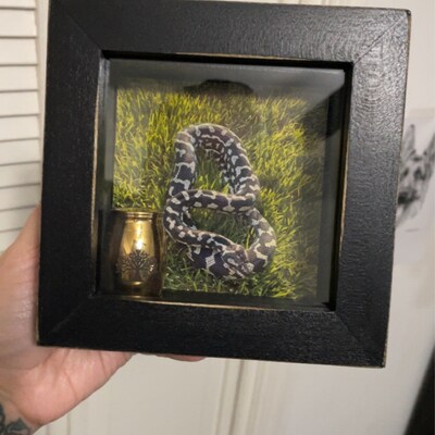 Handmade Shadow Box Frame Holds up to 1.3 Inches Deep With Removable ...