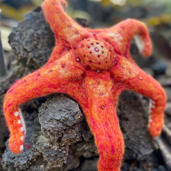 How to Needle Felt an Octopus Tutorial Instant Download PDF - Etsy