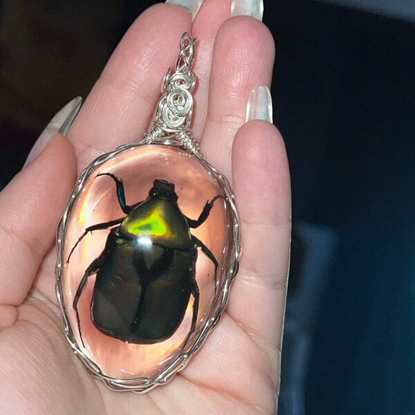 Brood X Cicada, Cicada Paperweight, Cicada Memorabilia, Resin Cicadas ...