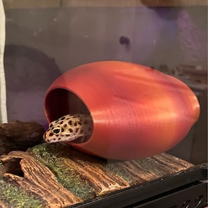 Crested Gecko Hides Stoodies Oiginal Bubbleloft Hide Fo Aboeal Geckos ...