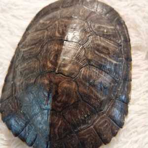 Belt Buckle Blank, Rectangle Beading Buckle, Belt Buckle Frame, DIY ...