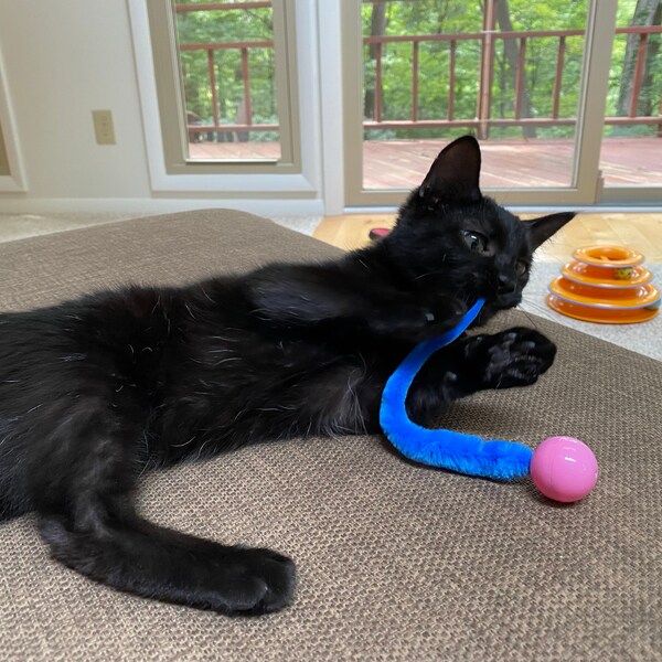 Wiggly Sampler Cat Toy 3-pack – Hunting Play - Etsy