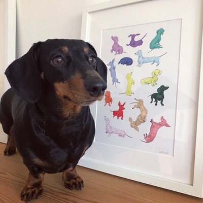 Bread Dogs, A4 Print - Etsy