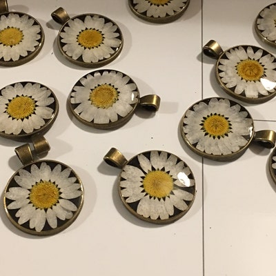 Mini Daisy Pressed Flowers Pack of 25 1/2 7/8 Inch Diameter Yellow ...