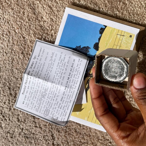 Anatomy Rubber Stamp Set, Human Body Organs and Bones Stamp Set ...