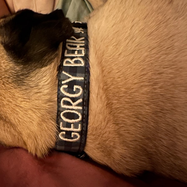 Fall Collar, Embroidered Dog Collar, Personalized Dog Collar, Geometric ...