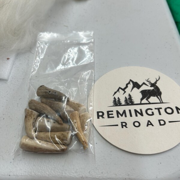 Deer Antler Toggle: Naturally Shed Deer Antler Toggle, One Toggle ...