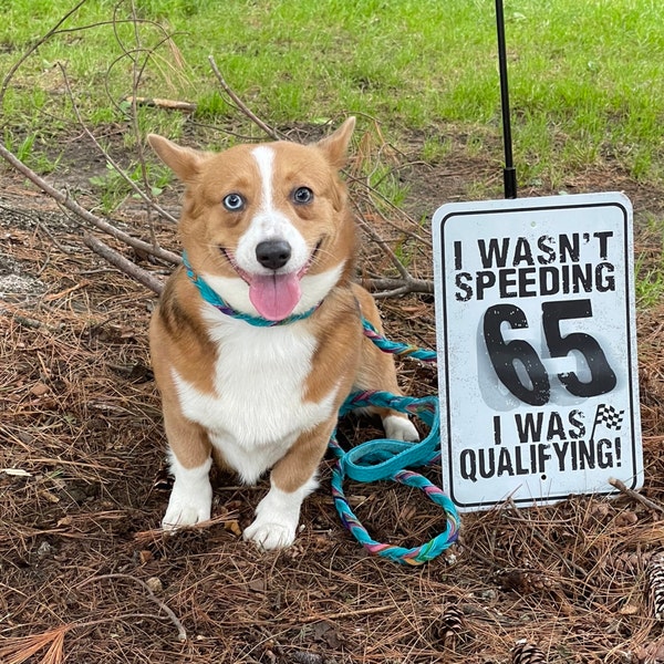 Leather Agility Lead, Leash for Dog Agility, Martingale Leash, Tie Dye ...