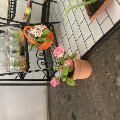 Miniature Water Lily Flower Bunch of Flowers,miniature Blue Color Lotus ...