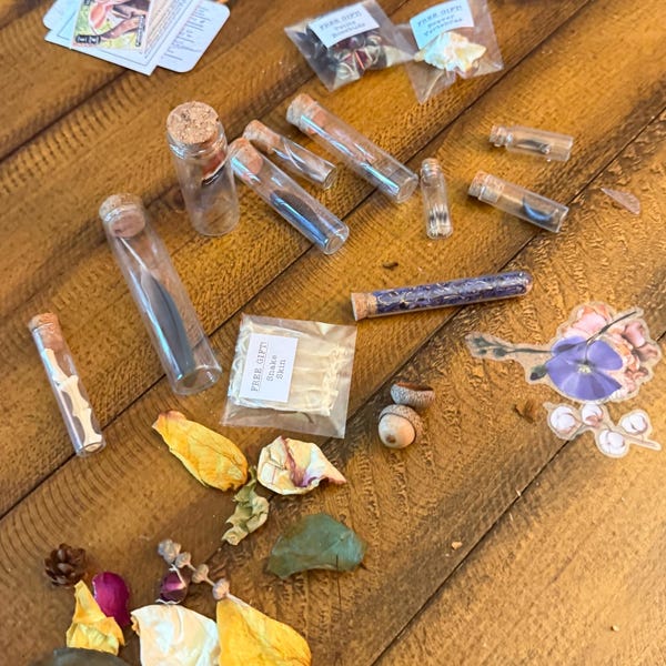 Real Moose Pellet in Glass Vial, Moose Poop, Animal Dung, Weird Gift ...