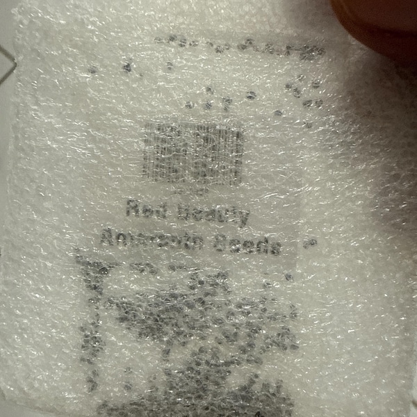 Red Beauty Amaranth SEEDS | Yin Choi, Chinese Tricolor Spinach SEEDS ...