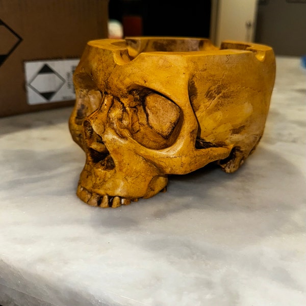 Small Human Skull Replica - Etsy