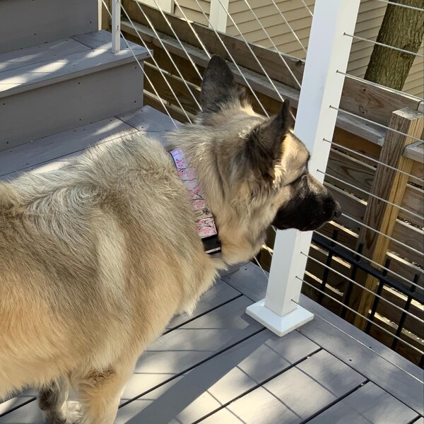 The Cherry Blossoms Collars - Etsy