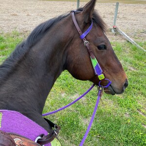 Moon Conchos Purple Swirl Pattern Tack Custom Tack Bridle | Etsy