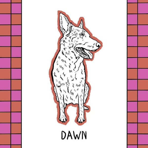 Custom Pet Portrait, Minimalist Pet Portrait, Badly Drawn Dog, Pet ...