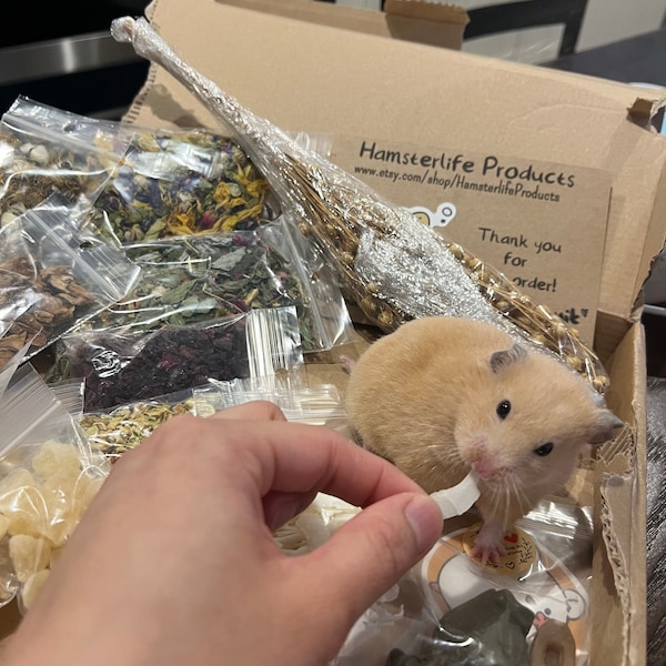 Hamster Treat Box - Flaxspray - Foraging - Flowers - Rosehips - Dried ...