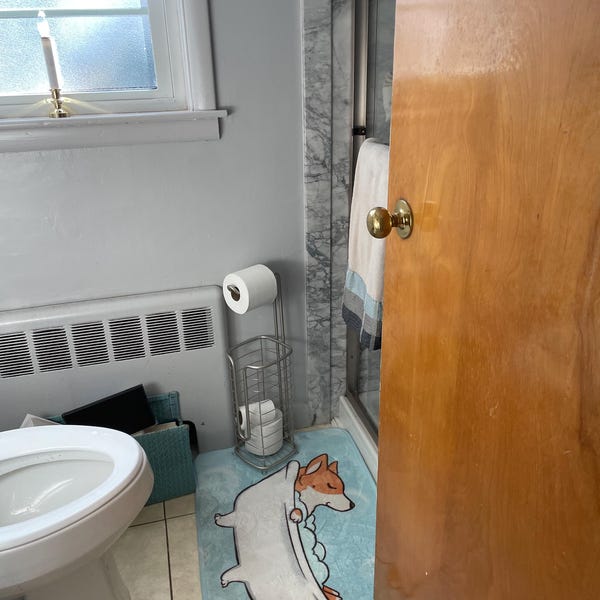 English Springer Spaniel Dog Bath Mat, Dog Door Mat, Floor Mats ...