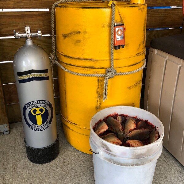 Knocko Nolan's St. Paddy's Day 1966 T-shirt - Book of Quint - Etsy