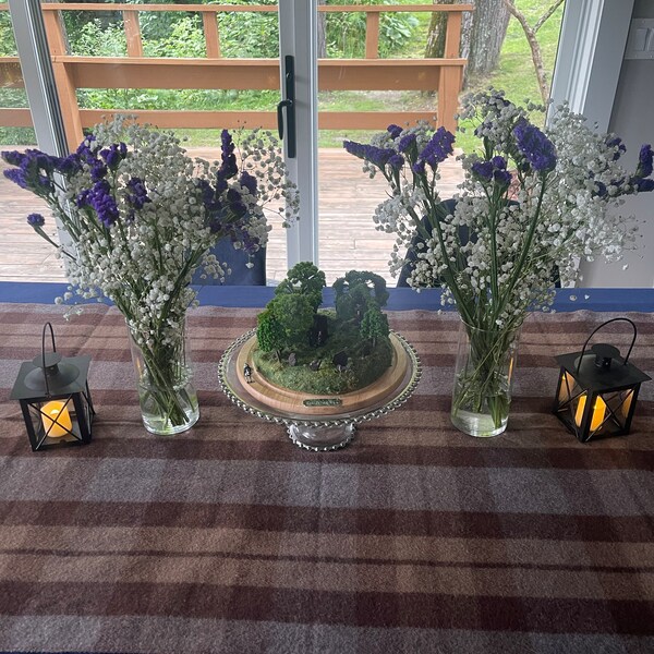 LED Glass Dome Outlander Inspired Diorama of Craigh Na Dun - Etsy