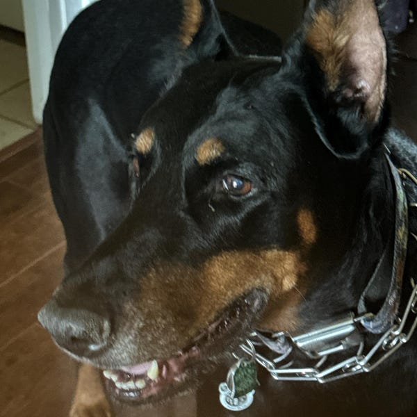 DIY Talisman and Amulet How to Guide, Protection, Love, Luck ...