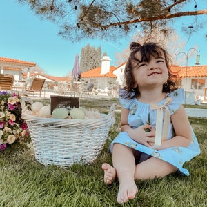 Exclusive Peter Rabbit Baby Toddler Little Girl Dress 100% Cotton Duck ...