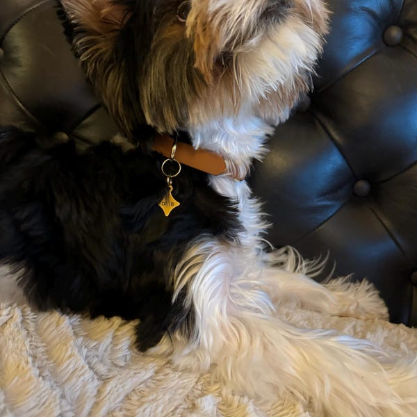 Dog Tag, Shield Dog Tag, Brass Dog Tag, Pet ID Tags, Personalized Dog ...