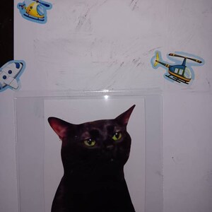 Zoned Out Black Cat Sticker - Etsy