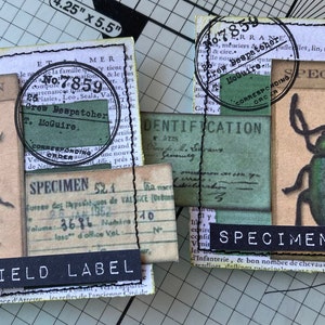Specimen Labels Vol.1 With 20 Pages With Over 150 Seperate GENUINE OLD ...