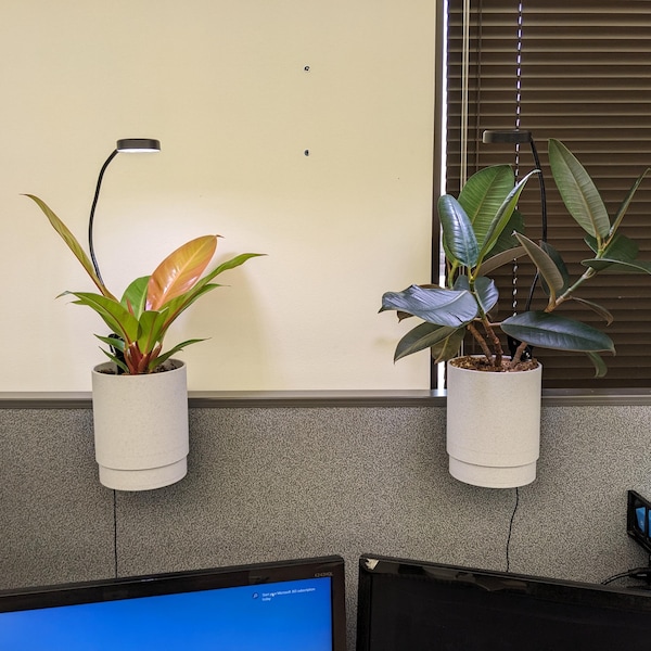 Cubicle Wall Planter: Modern Office Desk Decor - Etsy