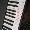 Piano and Keyboard Note Chart for 88 Keys, Use Behind the Keys, Ideal ...