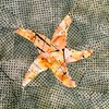 Witch Hat Quilt Block Pattern, 5 Sizes, Halloween FPP (PDF Download) - Etsy