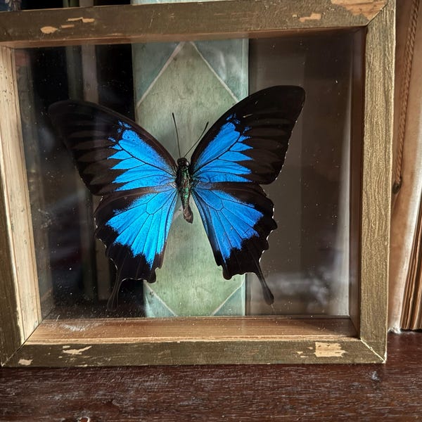 1950s Charga-plate Precursor to the Modern Credit Card Seattle ...