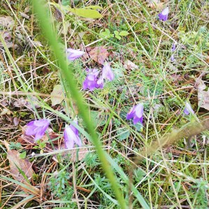 Easyriders Magazine Issue 566 November 2022 - Etsy