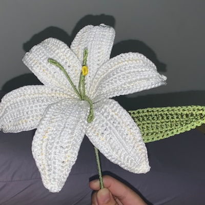 Crochet Doraemon Flowersknitted Doraemon crochet Pig - Etsy