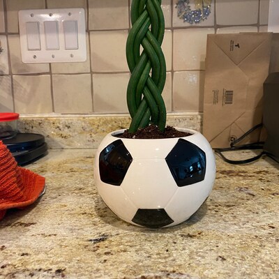 Soccer Ball Ceramic Planter, Sports Fan Flower Pot Bowl, Athletic ...