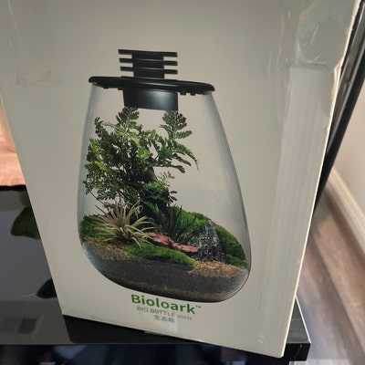 Bio Bottles Emerald Garden Mini Desktop Terrarium bubble Cup Set Wabi ...