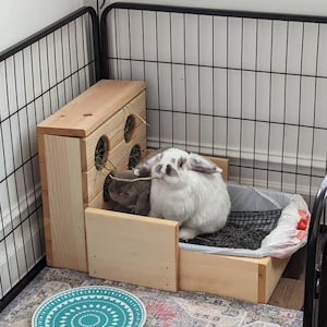 Hay Feeder & Litter Box, Small Animal Litter and Hay Feeding Station ...
