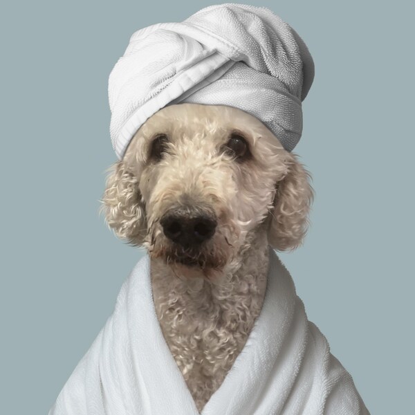 Custom Pet Portrait, Dog Bathroom Art, Funny Bathroom Poster, Dog in ...