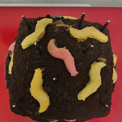 Made to Order Custom Food Safe Silicone Candy Molds Banana Slugs - Etsy