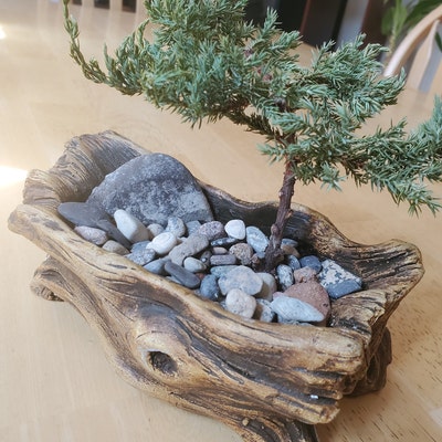 Cow Bull Ceramic Bonsai Pot Air Plants Succulent Animal - Etsy