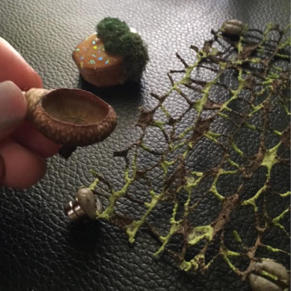 Jumping Spider Magnetic Acorn Ledge/hide multiple Style - Etsy