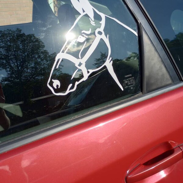 Native American Turtle Decal Contour Cut Vinyl Southwestern Sticker - Etsy