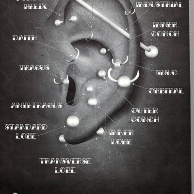 Facial Piercings Infographic Chart Poster Various Locations of Face ...