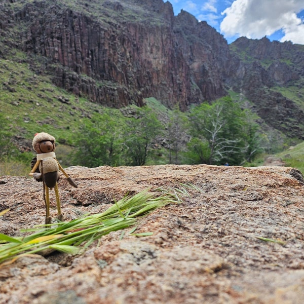 Medieval Scholar Acorn Elf - Nature-inspired Figurine - Etsy