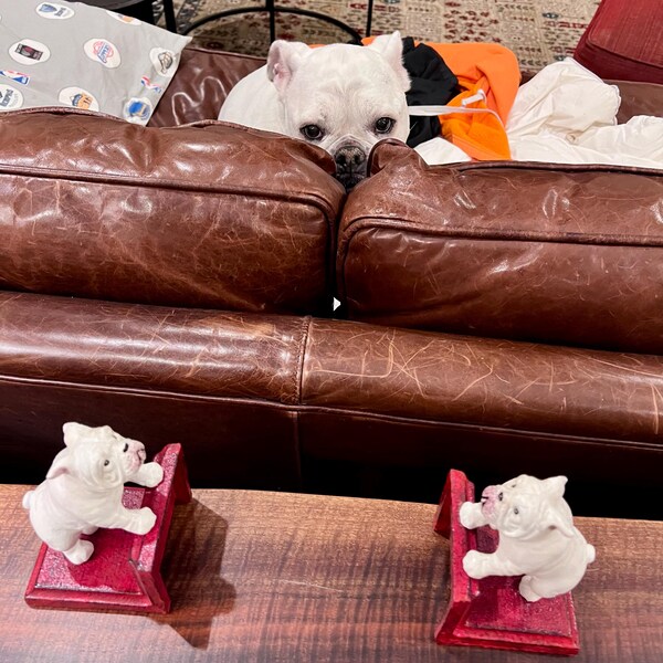 Cobalt BLUE SPLATTER Enamelware BUTTER Dish Splatterware 1/2 Pound ...