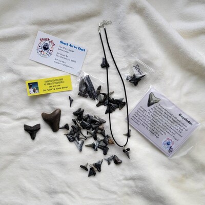 Make Yer Own Shark Art Kit Reef Shark 8x10 - Etsy