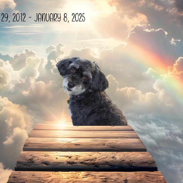 Rainbow Bridge Digital Backdrop, Pet Memorial Digital Background,way to ...