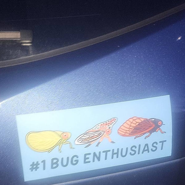 Number 1 Bug Enthusiast Iron-on Patch / Entomologist / Entomology ...