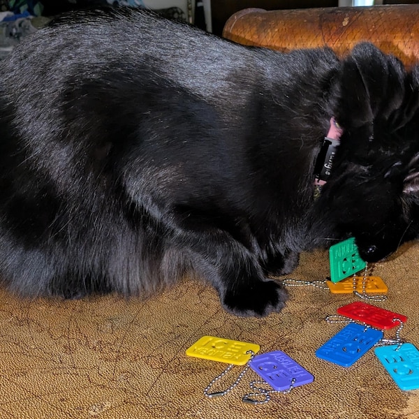 Party Pack - Abolish ICE Keychains - Rainbow Sets of 8 - Etsy Israel